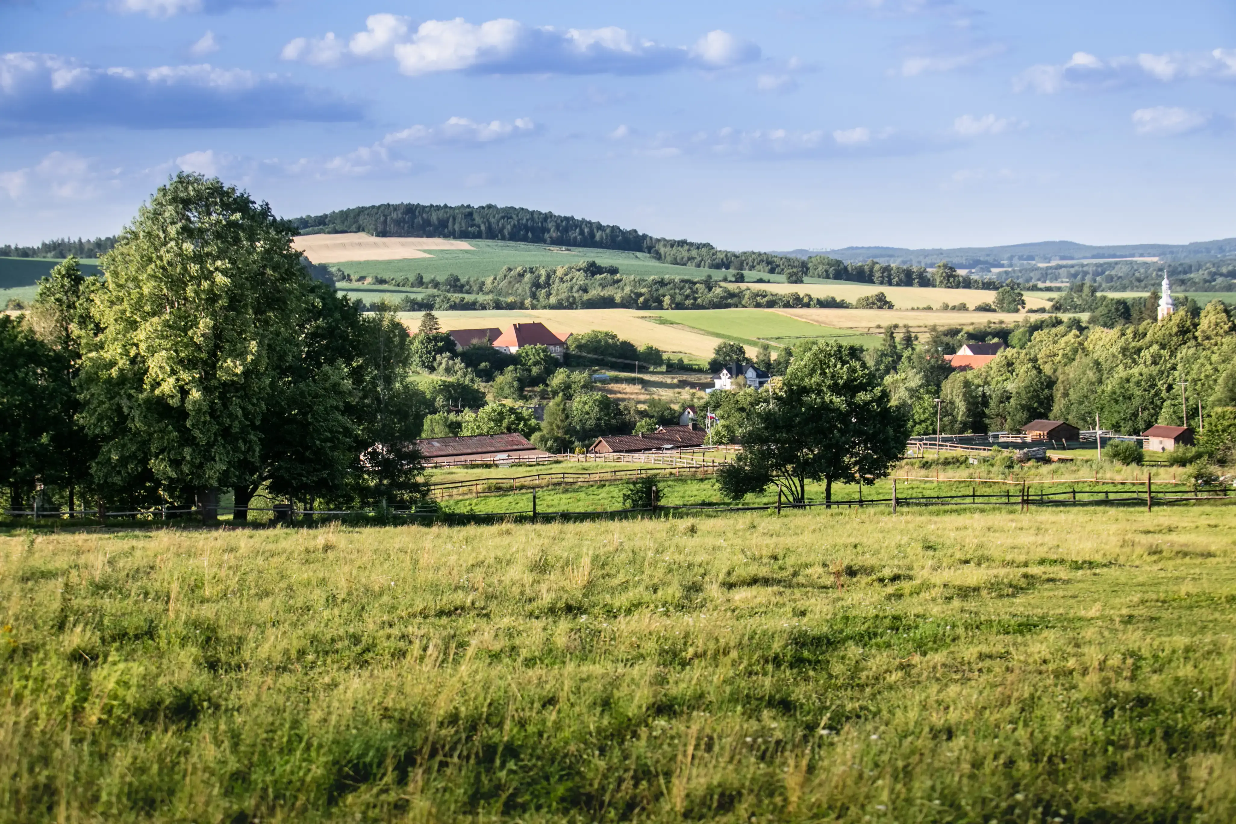 Second foals • Jaskolka Agritourism